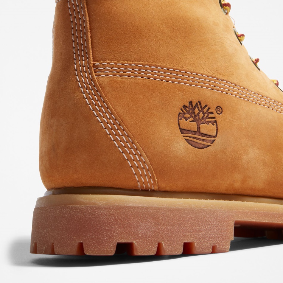 Botas Femininas Premium à Prova D'água De 6 Polegadas Timberland Pt ...